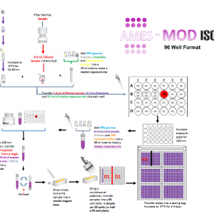 Ames Modified ISO Test | Ecotest