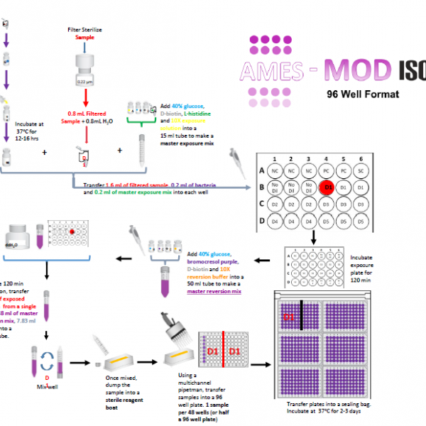 Ames Modified ISO Test | Ecotest