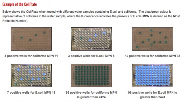 E.coli Testing | Ecotest